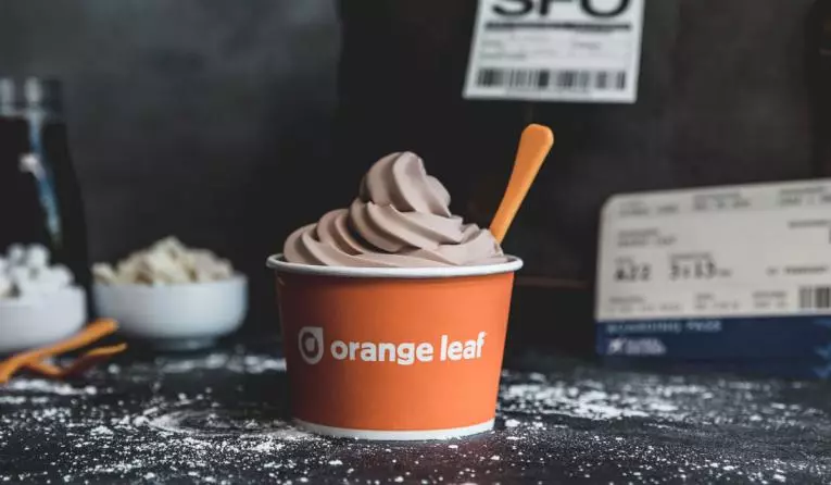 ئاپېلسىن يوپۇرمىقى بىلەن Ghirardelli Froyo تەمىگە بىرلەشتۈرۈلگەن 634_1